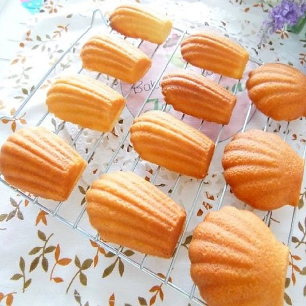 Khuôn bánh sò rời Madeleine – Bánh Ngon Shop - Đồ Làm Bánh Giá Rẻ