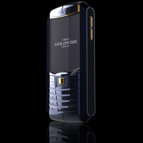 GoldVish BLUE REGATTA – Tiến Thành