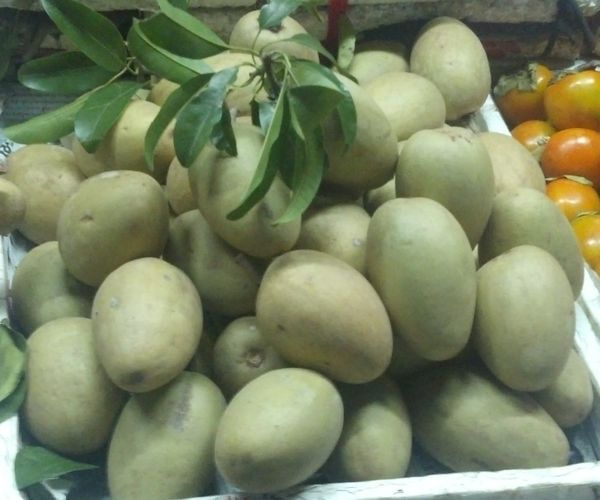 Lồng mứt – Trái cây CÔ DUNG THANH ĐA